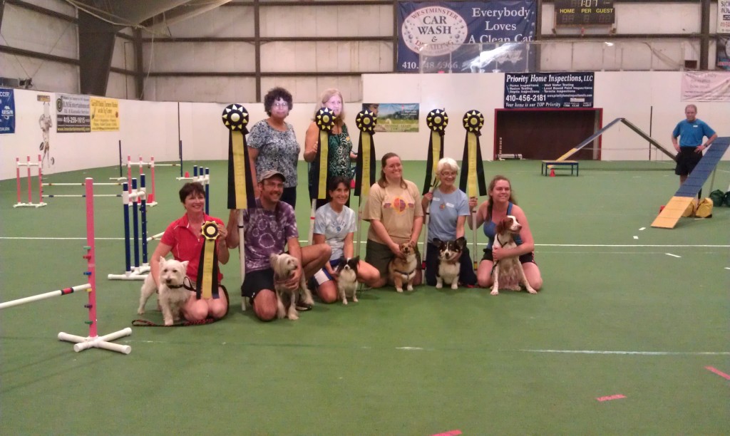 Novice/Open AKC Agility Trial - Carroll Kennel Club